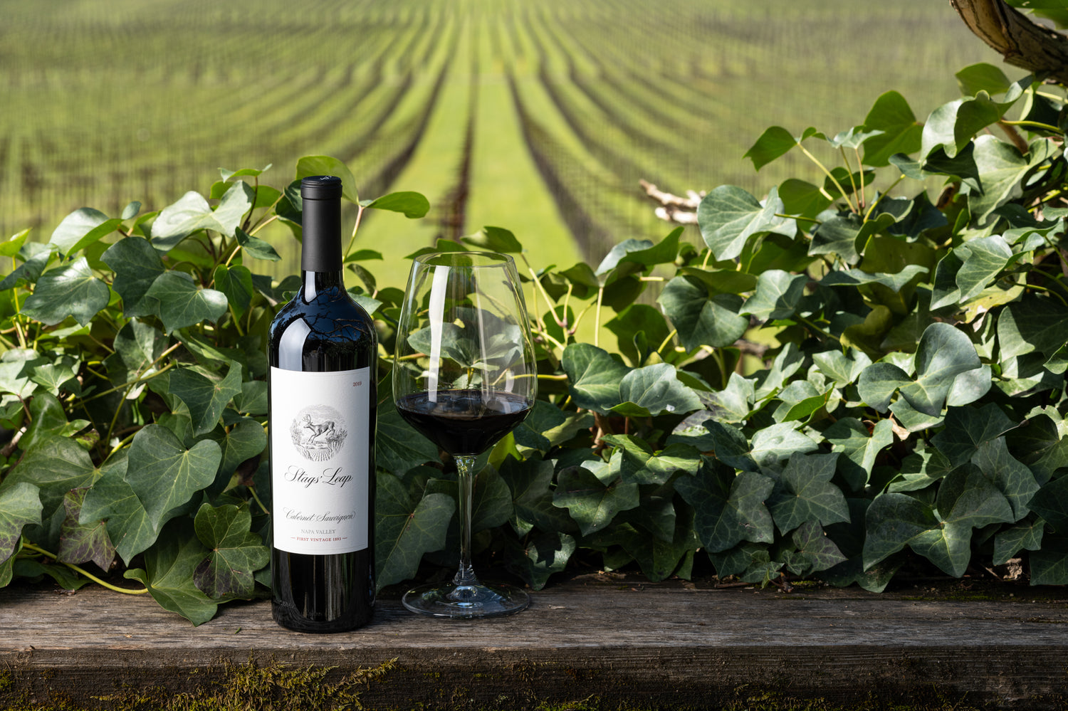 Vineyards – Stags' Leap Winery