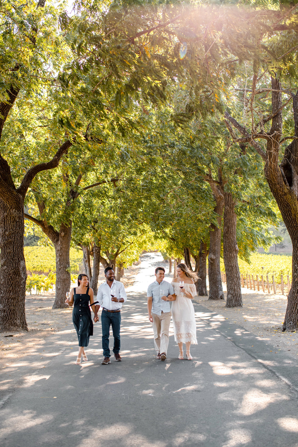 Stags' Leap Winery and Tasting Room