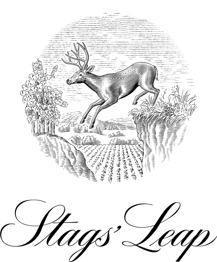 2018 Stags' Leap The Leap Estate Grown Napa Valley Cabernet Sauvignon ...